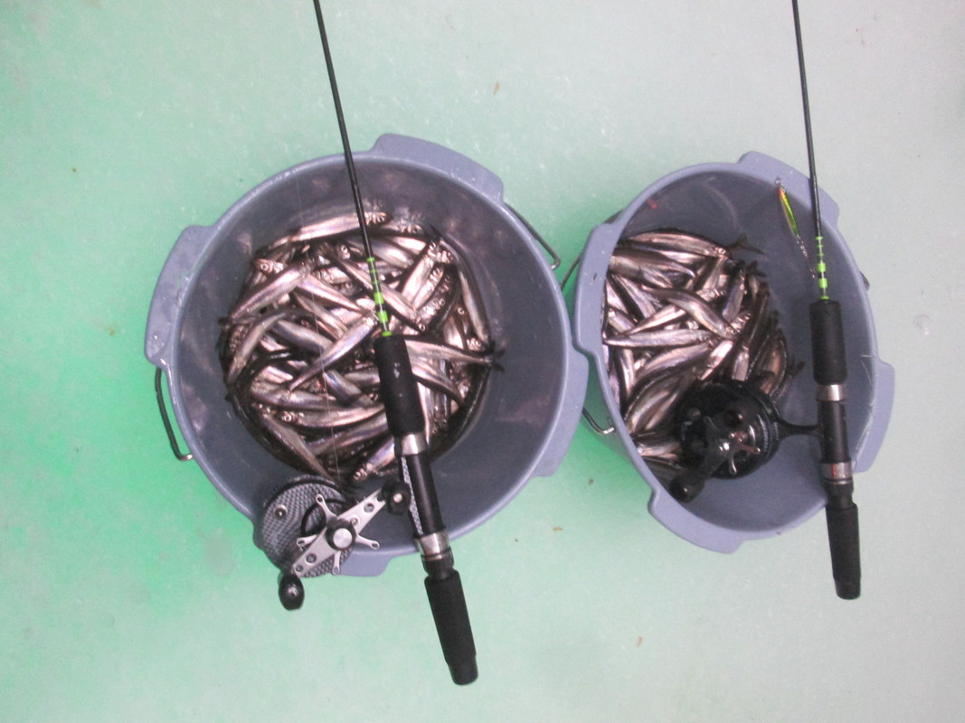 IMG 2275 — Postimages