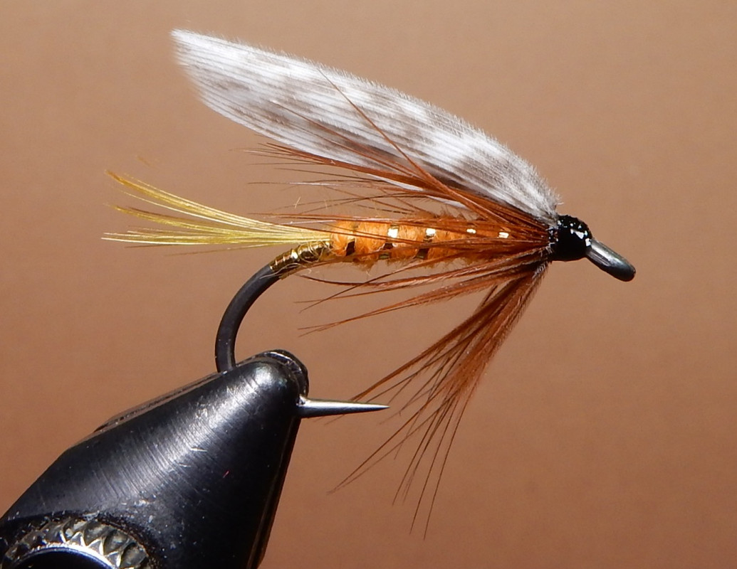 Chamberlain | Fly Fishing Forum