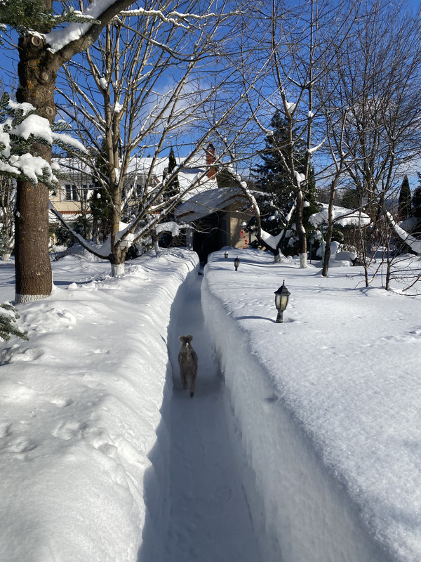 IMG 1895 — Postimages