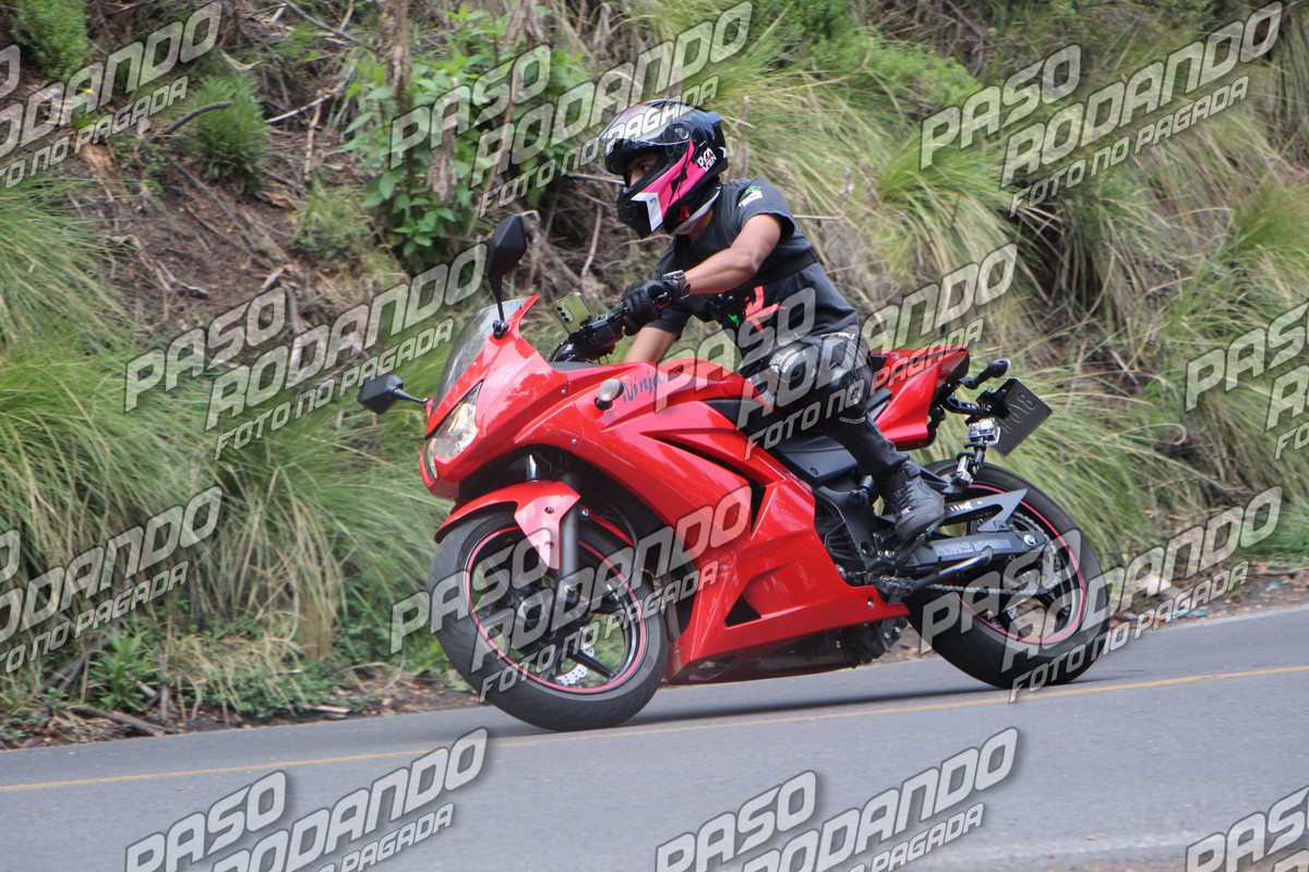 Album — Postimages