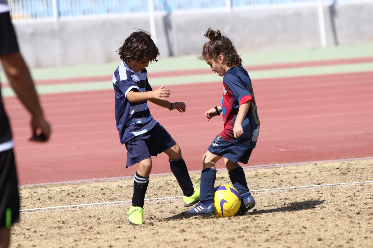 VIK 2024 — Postimages