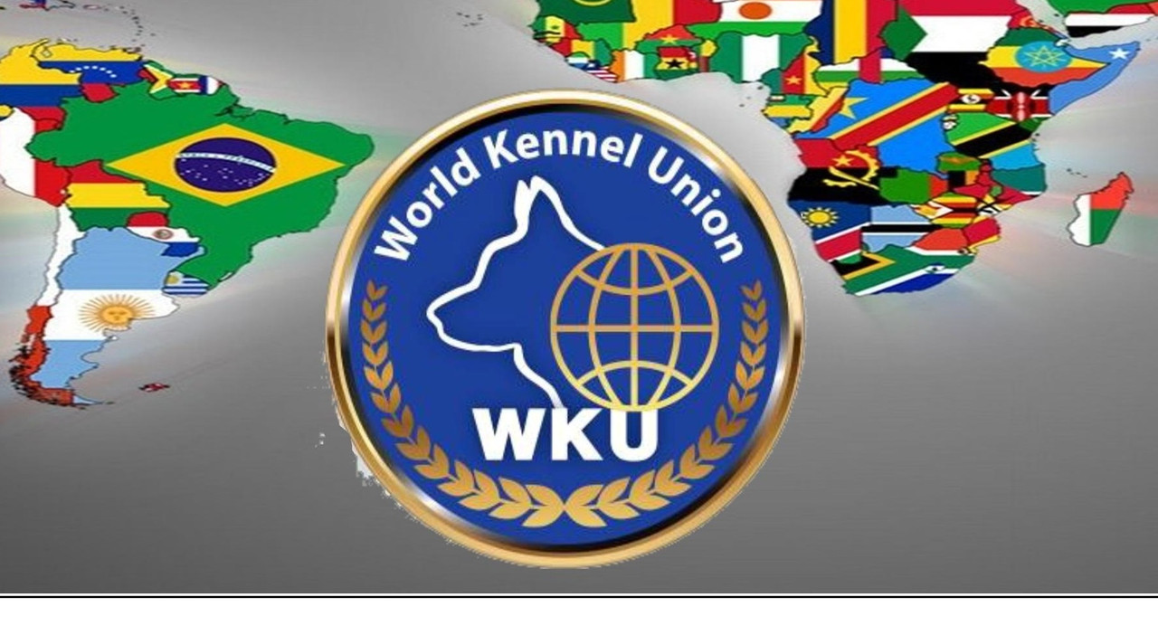 11111111 — Postimages