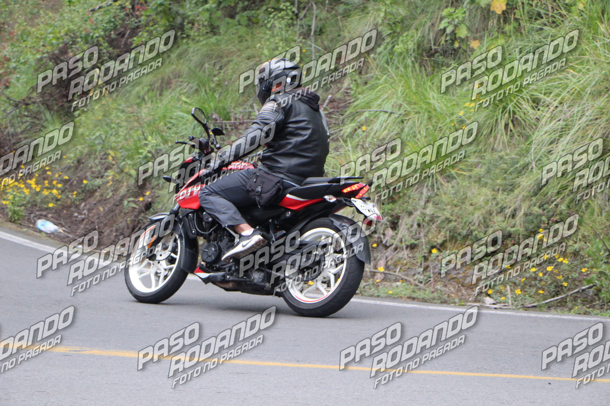 IMG 8379 wm 23528 299999998882 watermarked — Postimages