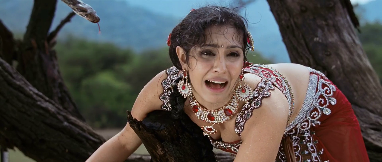 vlcsnap 2025 01 28 00h48m37s132 — Postimages