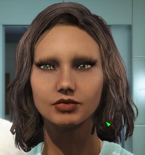 Need help with 20 face and body - Fallout 4 Technical Support - LoversLab