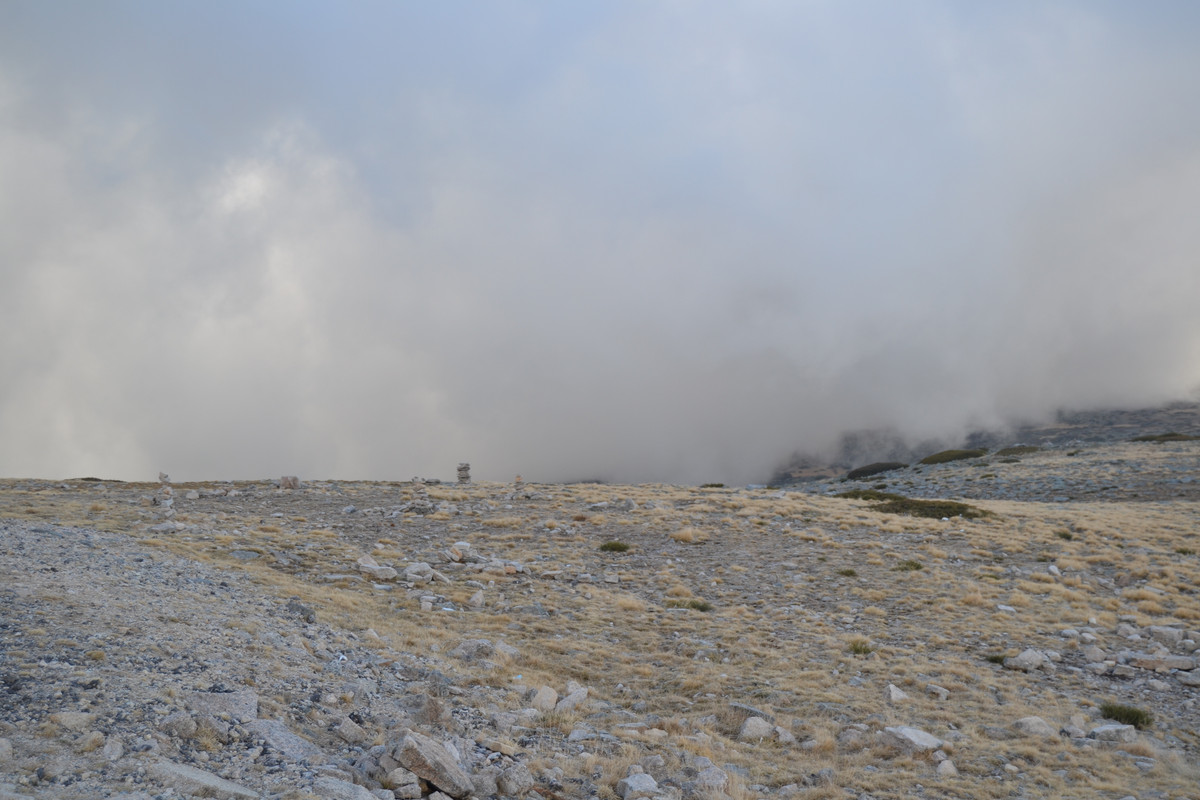 DSC 0303 — Postimages