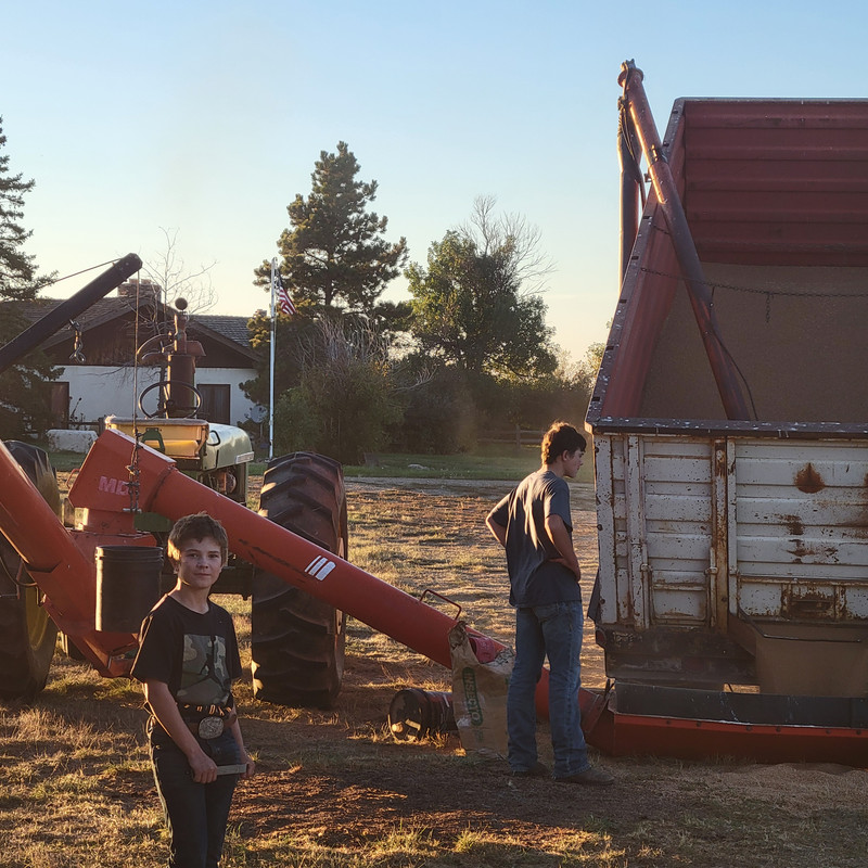 20250923 184230 — Postimages