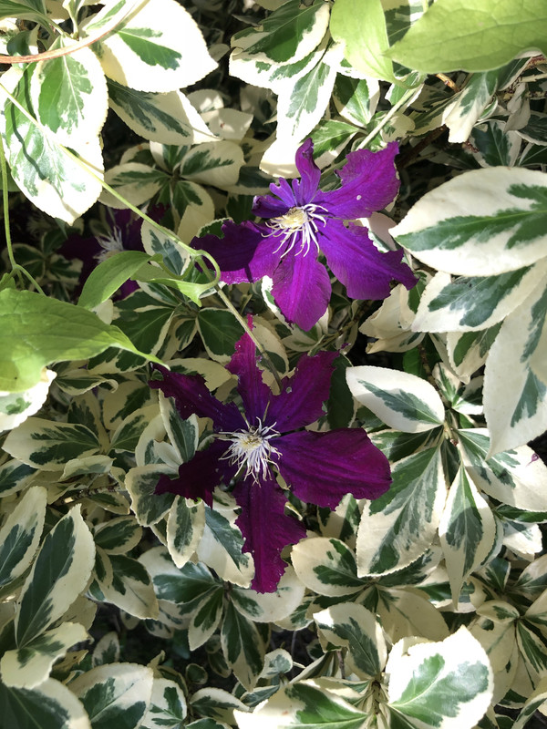 IMG 5670 — Postimages