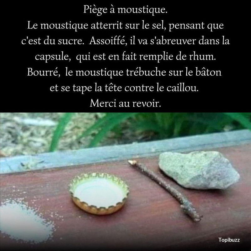 34560610 — Postimages