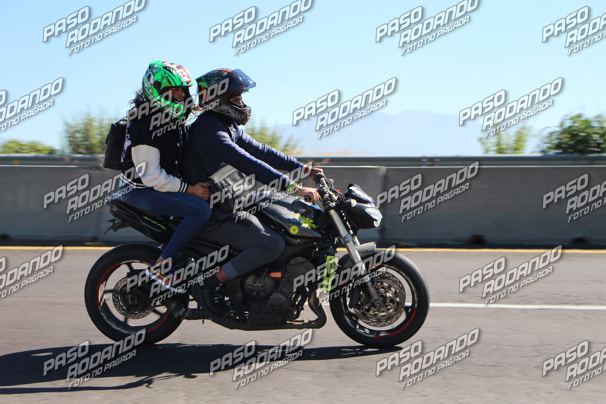 IMG 2736 wm 8453319 5 watermarked — Postimages