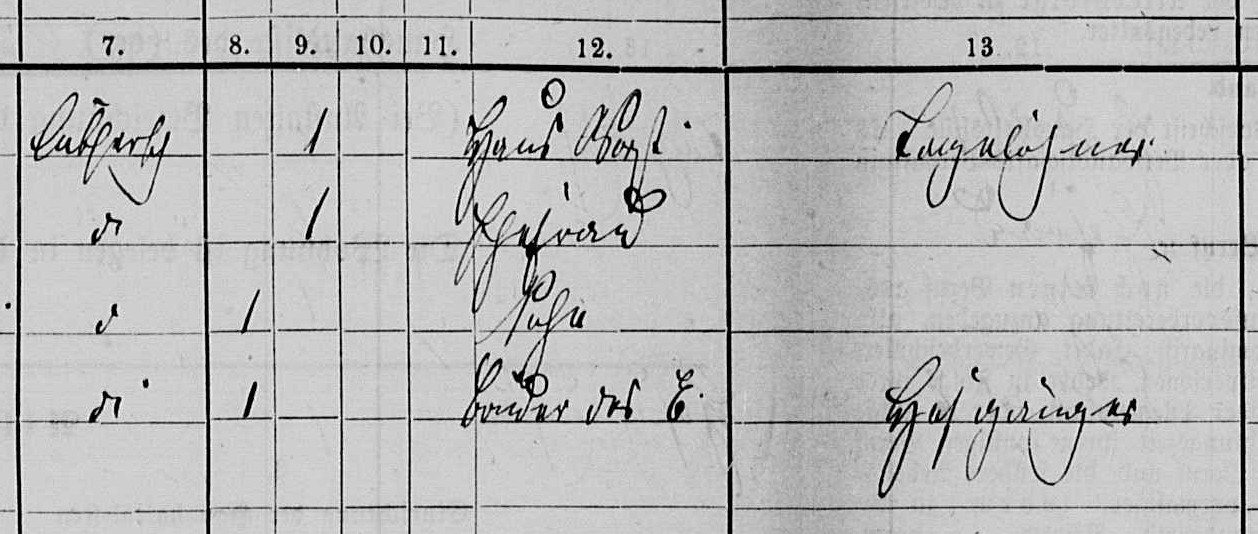 Help deciphering old German handwriting - census | Ask MetaFilter