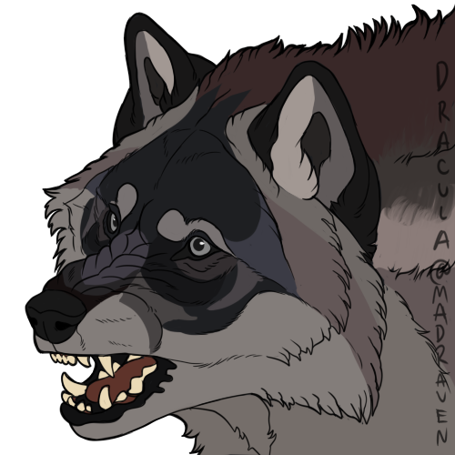 💥YWH icon! + NEW LION ICON! |:| Wolvden