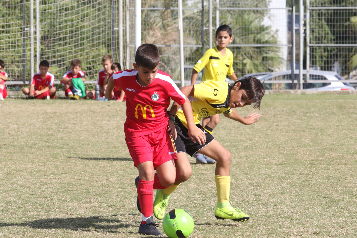 KOS 8291 — Postimages