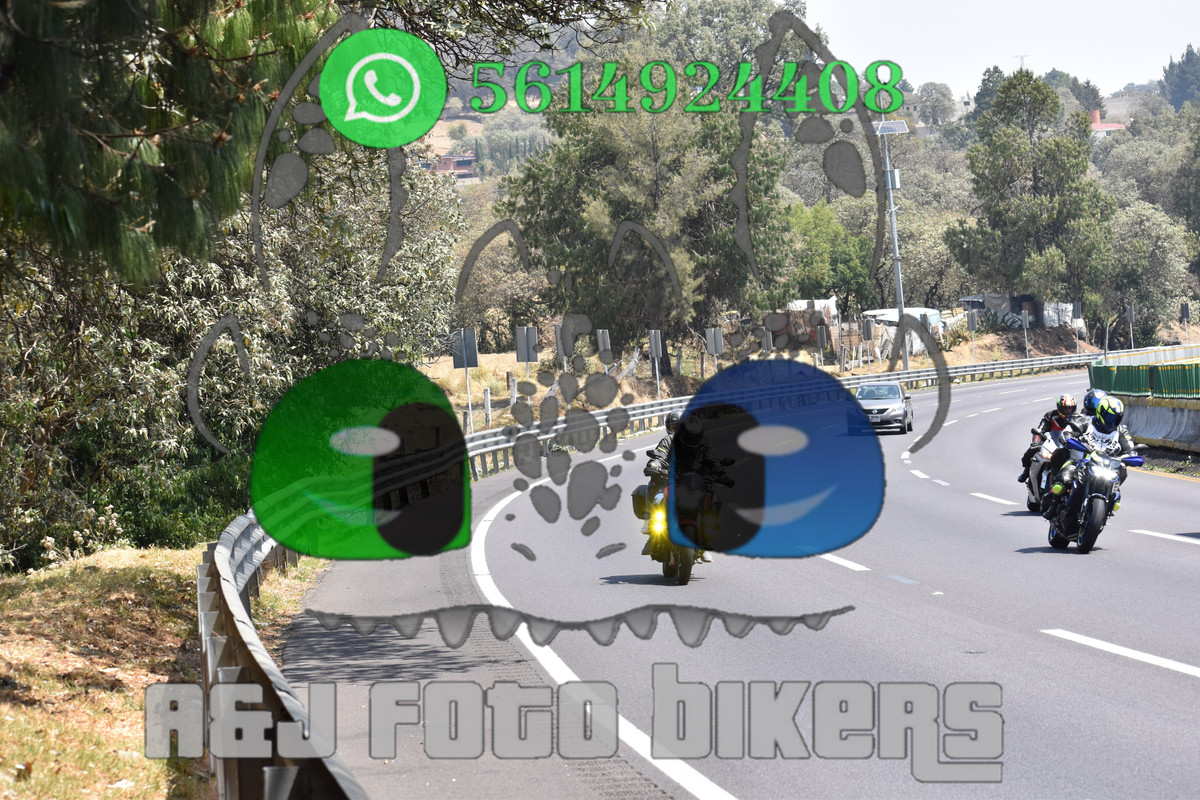 AVQ 0559 — Postimages