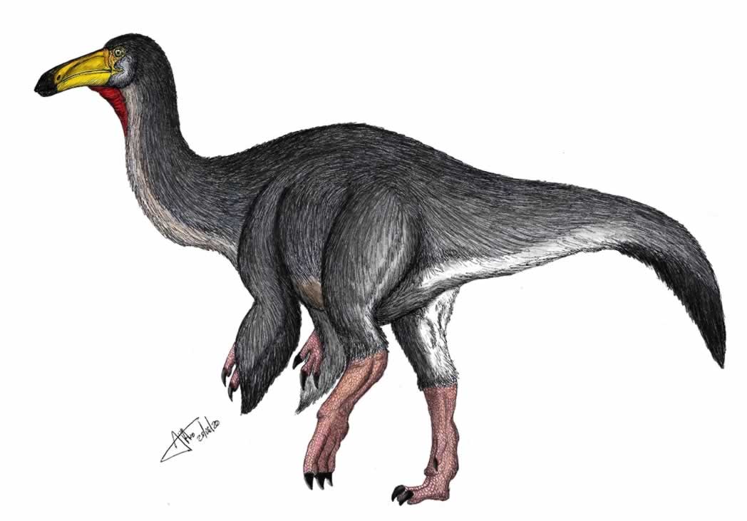 SALTILLO | Proyectos, Información y Fotografías | Page 87 ...