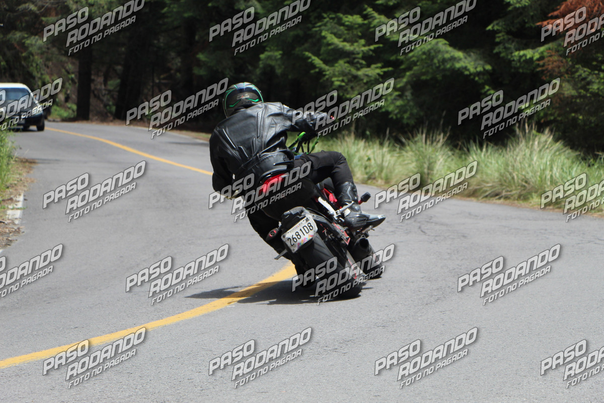 IMG 2210 wm 936419 5 watermarked — Postimages