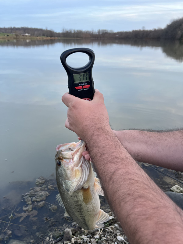 Texas Rigging a Grub - Page 2 - Fishing Tackle - Bass Fishing Forums