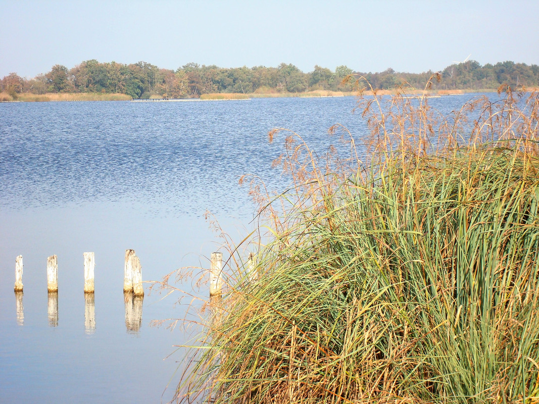 DSC07112 — Postimages