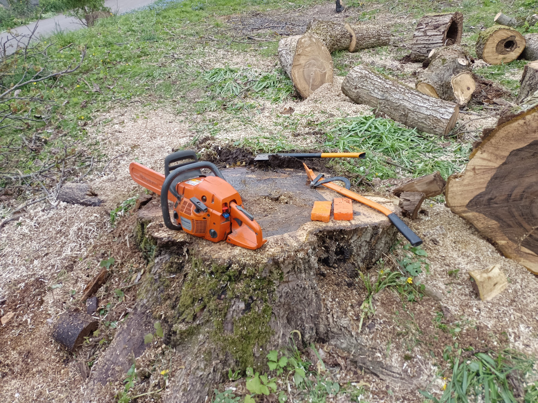 IMG 20240414 133511 — Postimages