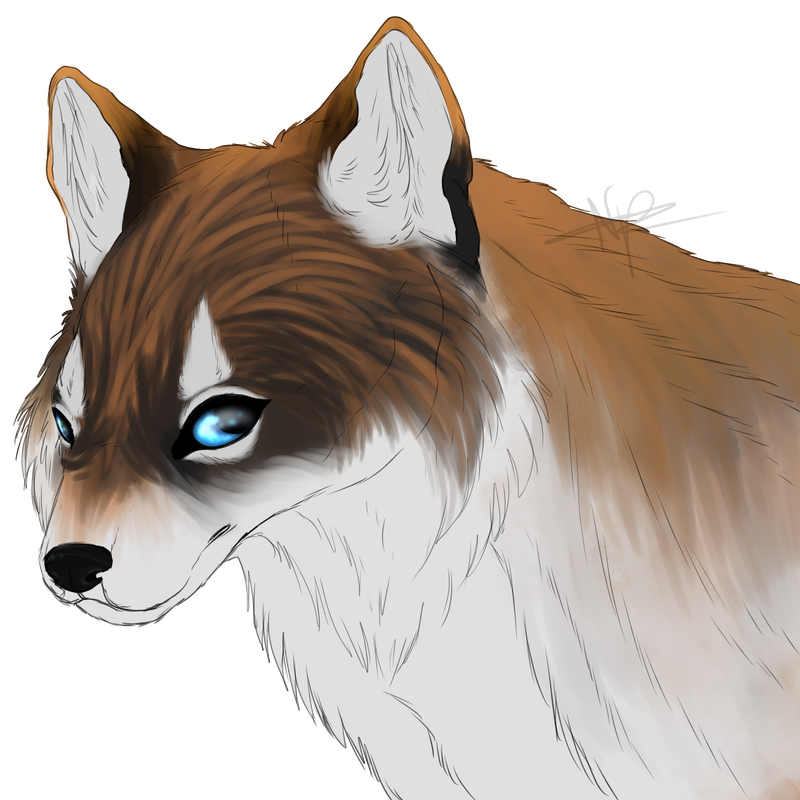 Solar eclipse wolves |:| Wolvden