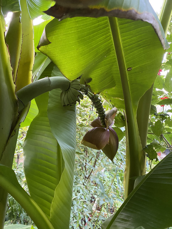 IMG 0048 — Postimages