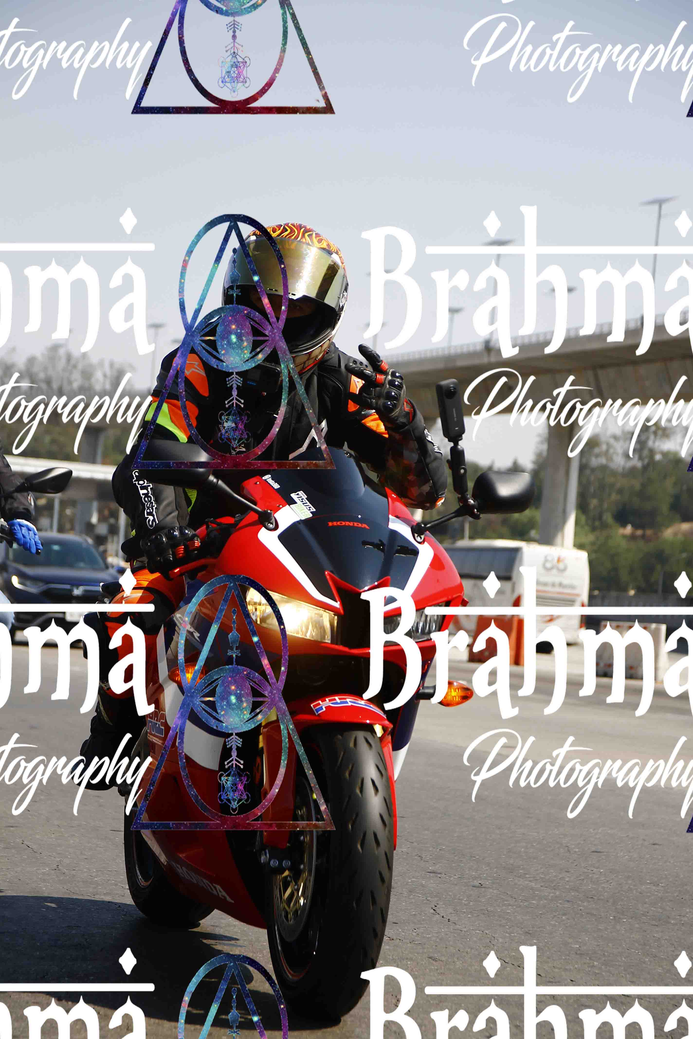 MG 5446 — Postimages