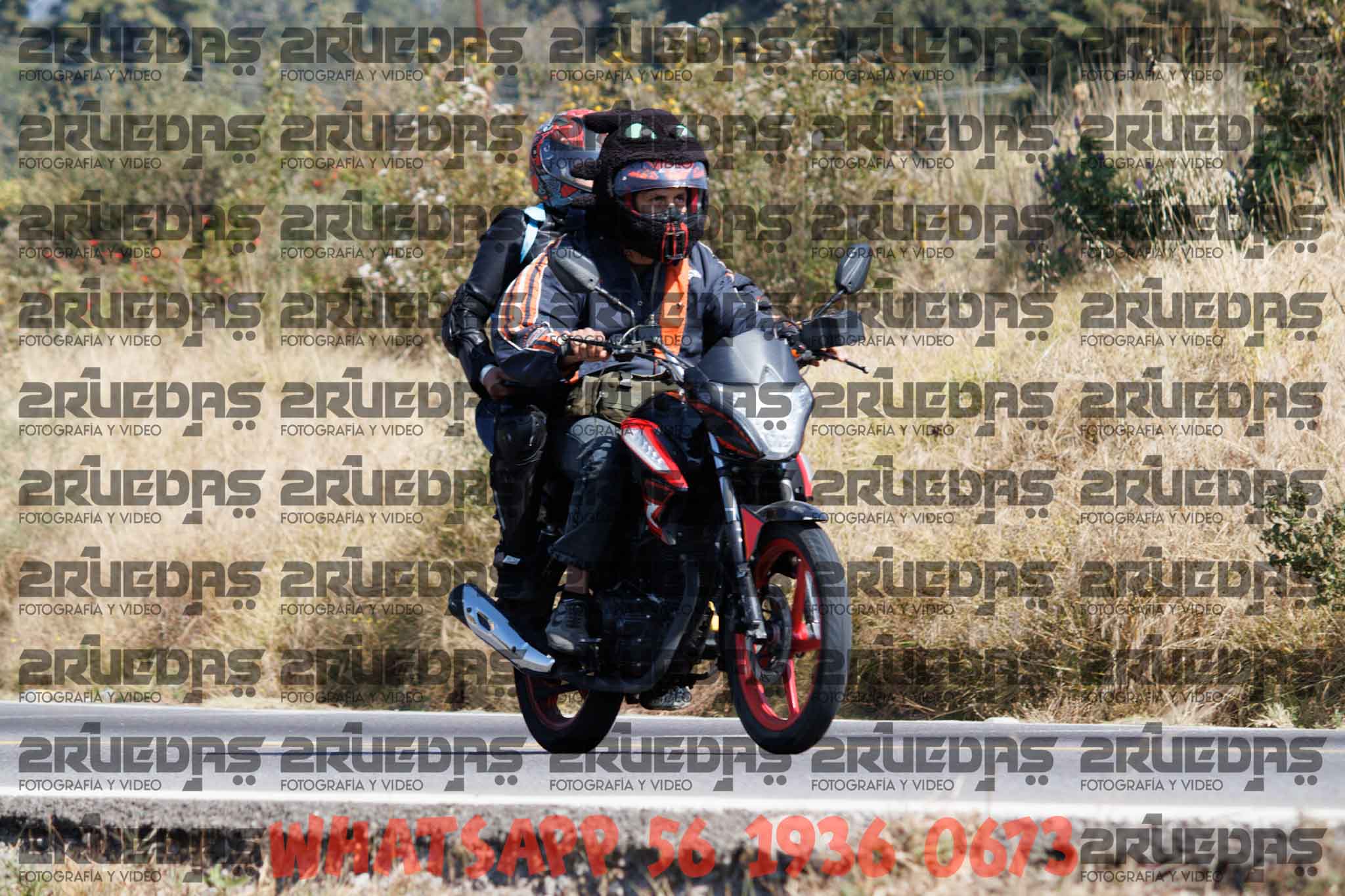 MG 8677 — Postimages