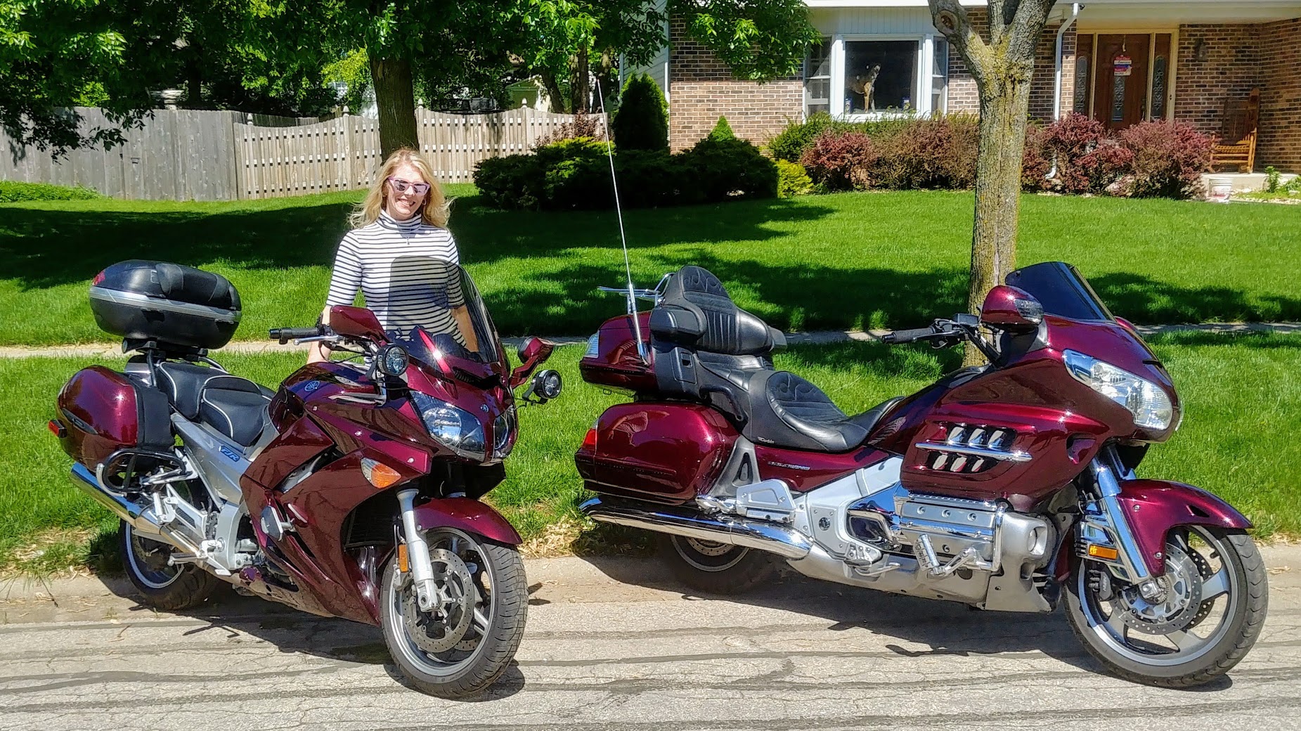 FZ6 and Wing — Postimages