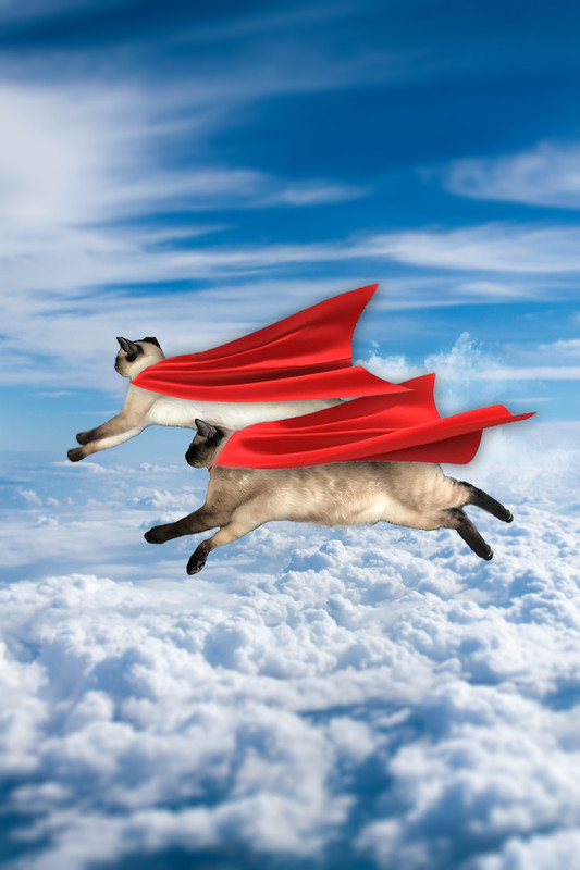 flying mfs — Postimages