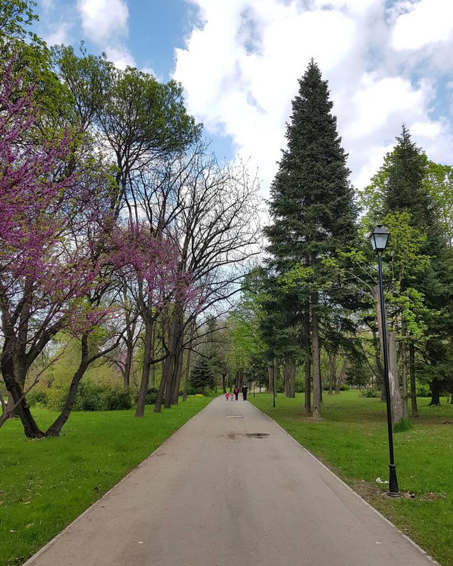 [Ruse|Русе] Parks and green spaces | Паркове и зелени зони | Page 14 ...