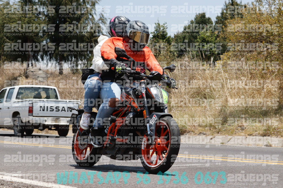 MG 1006 — Postimages