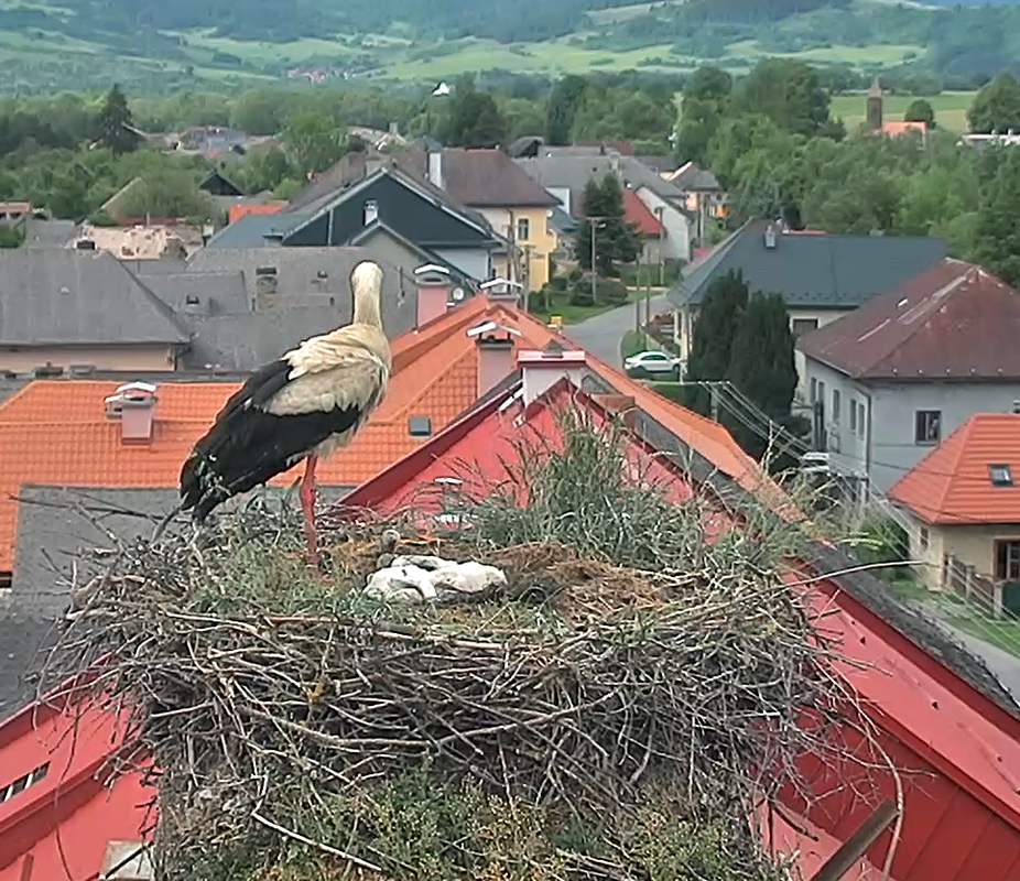 Screenshot 45 — Postimages