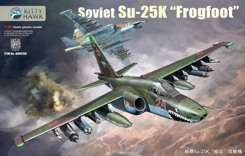 1/48 - Sukhoi Su-25K "Frogfoot" & Su-25UB & UTG "Frogfoot-B" by Zimi ...