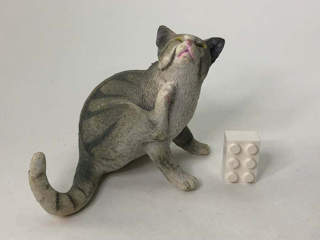 Dynamic poses vs. Static poses