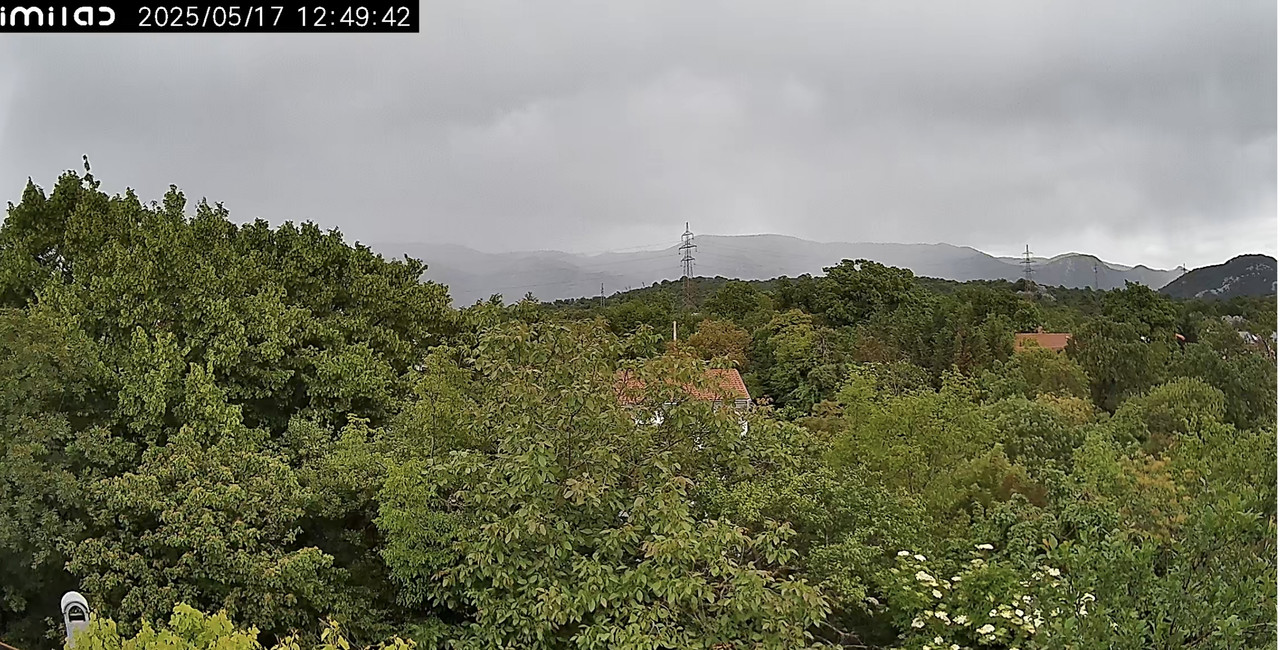 IMG 20250517 125016 — Postimages