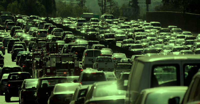 The World Needs Fewer People