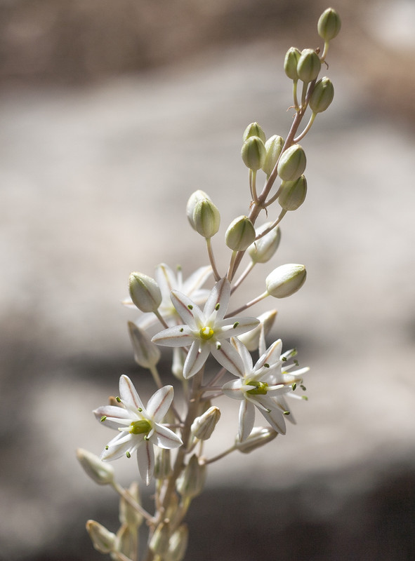 MG 1685 FORO — Postimages