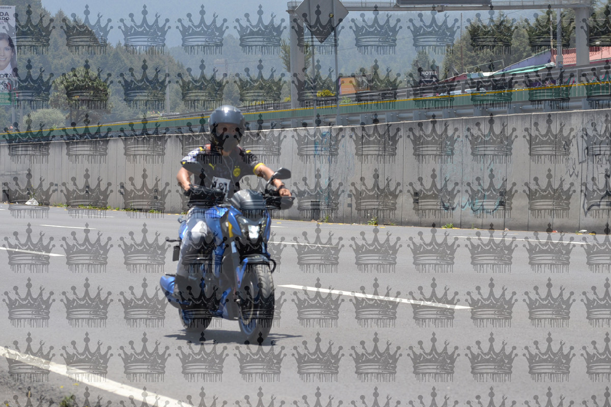 DSC 1599 — Postimages