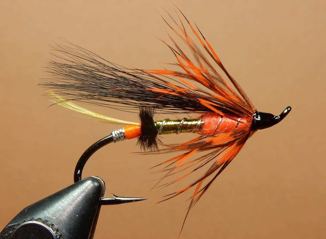 Autumn Flash - Fly Tying - Maine Fly Fish