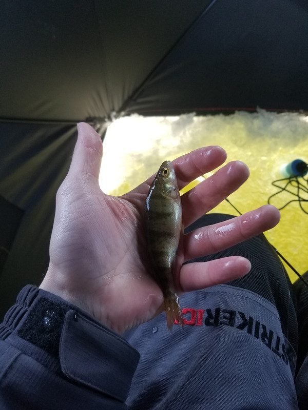 20220109 120450 — Postimages