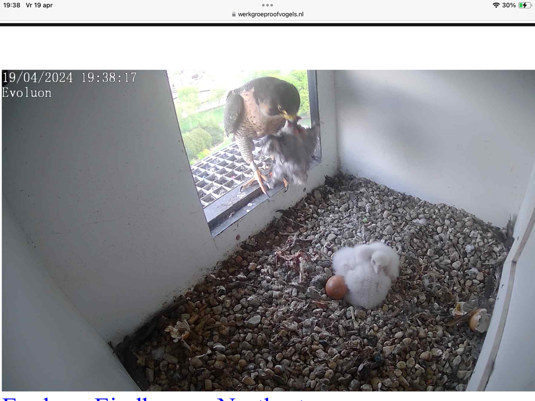 IMG 0205 — Postimages