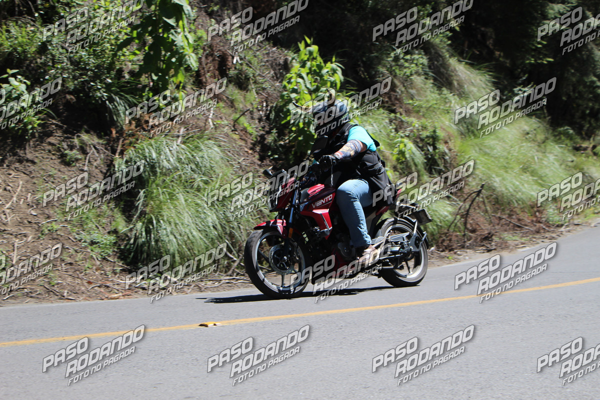 IMG 3627 wm 54527 watermarked — Postimages