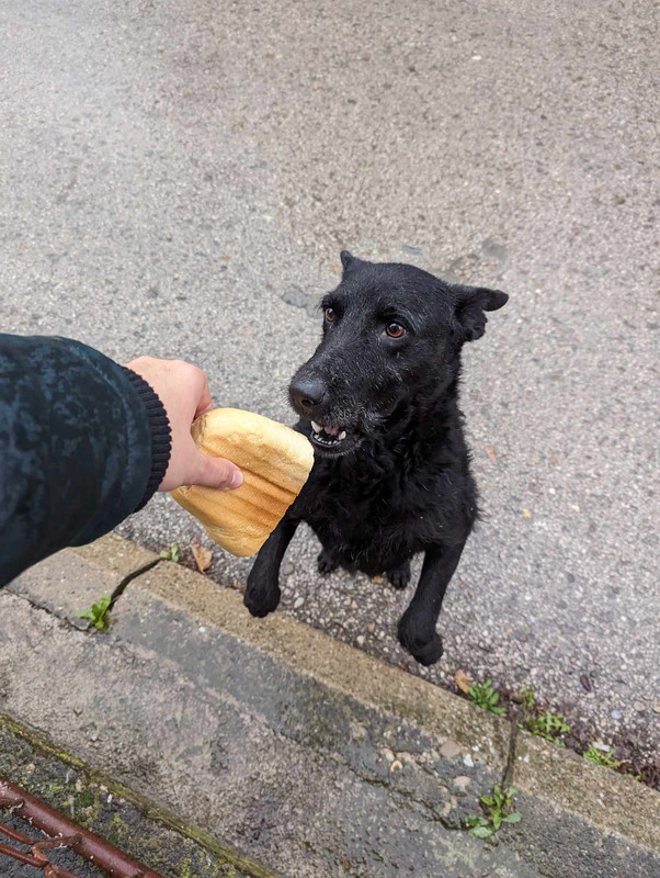 99d792aa 9531 48bd a936 1b33fd065537 — Postimages