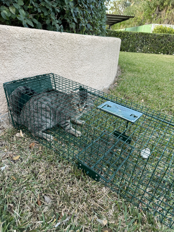 IMG 0116 — Postimages