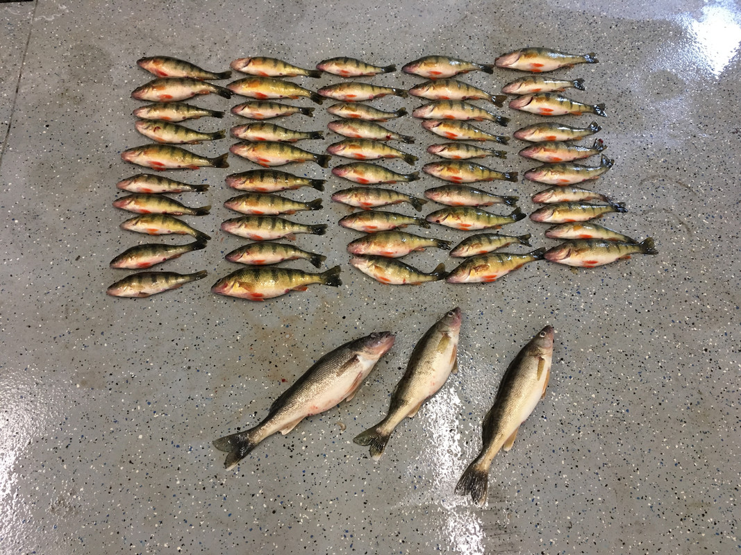 A246 E2 DD C9 E5 4 C8 E A8 AF F48 CC2873 BA1 — Postimages