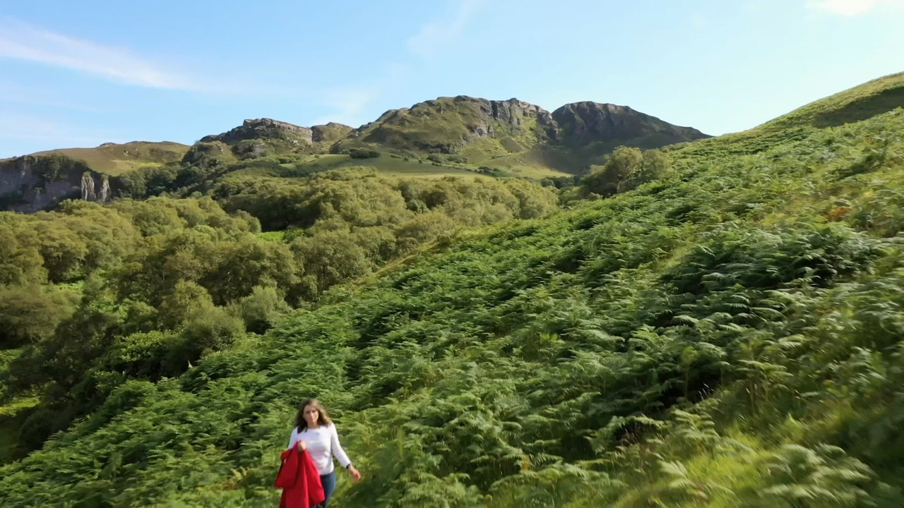 Landward 20211121 09150945 ts snapshot 17 46 288 — Postimages