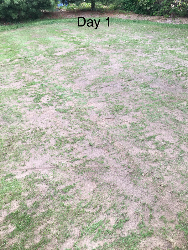 kbob11's Sand Leveling time lapse pictures | Lawn Care Forum