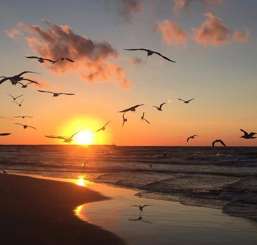 Img 20221020 201106 214 Postimages