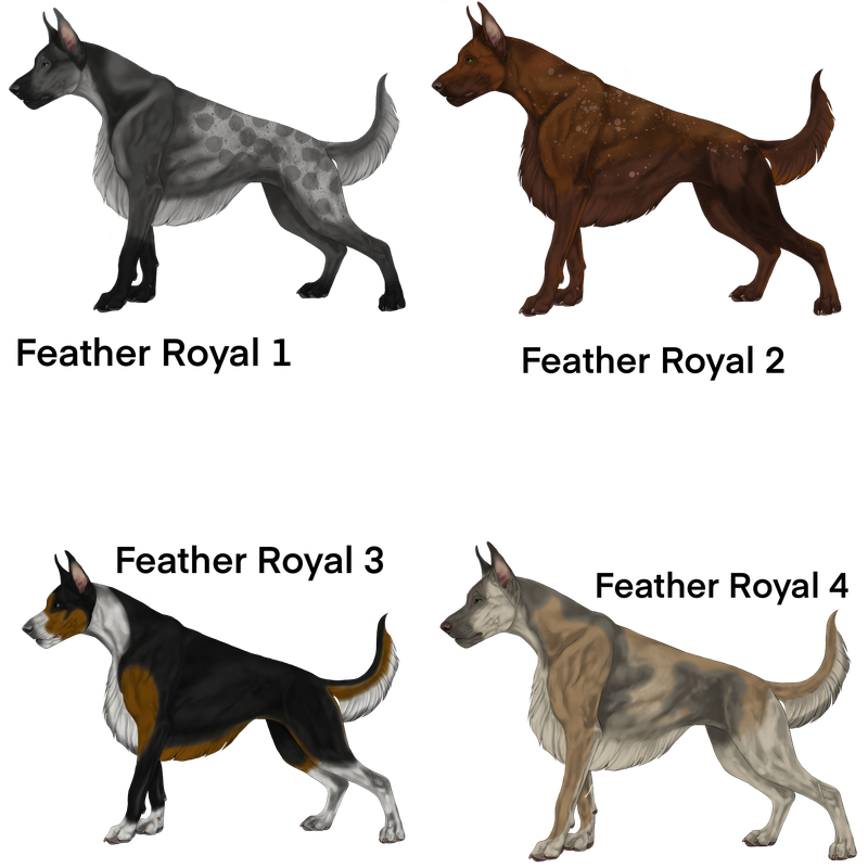 Feather Royal Adopt Batch 1 — Postimages