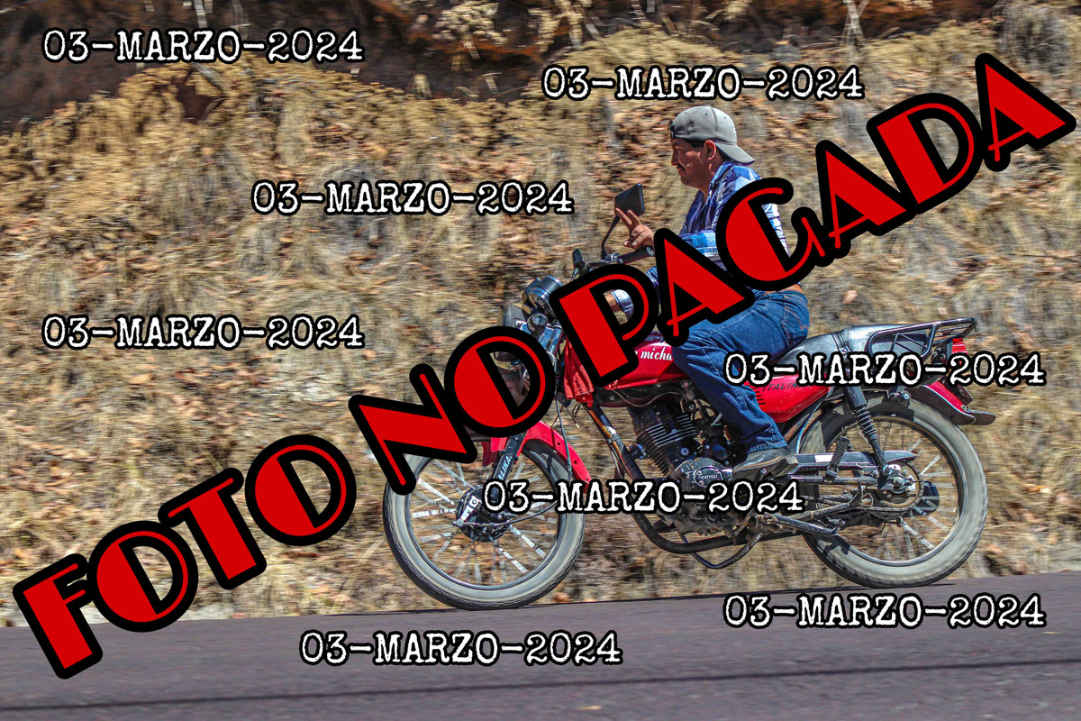 CS 1003 — Postimages